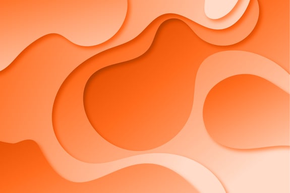 Collections – Zagwear